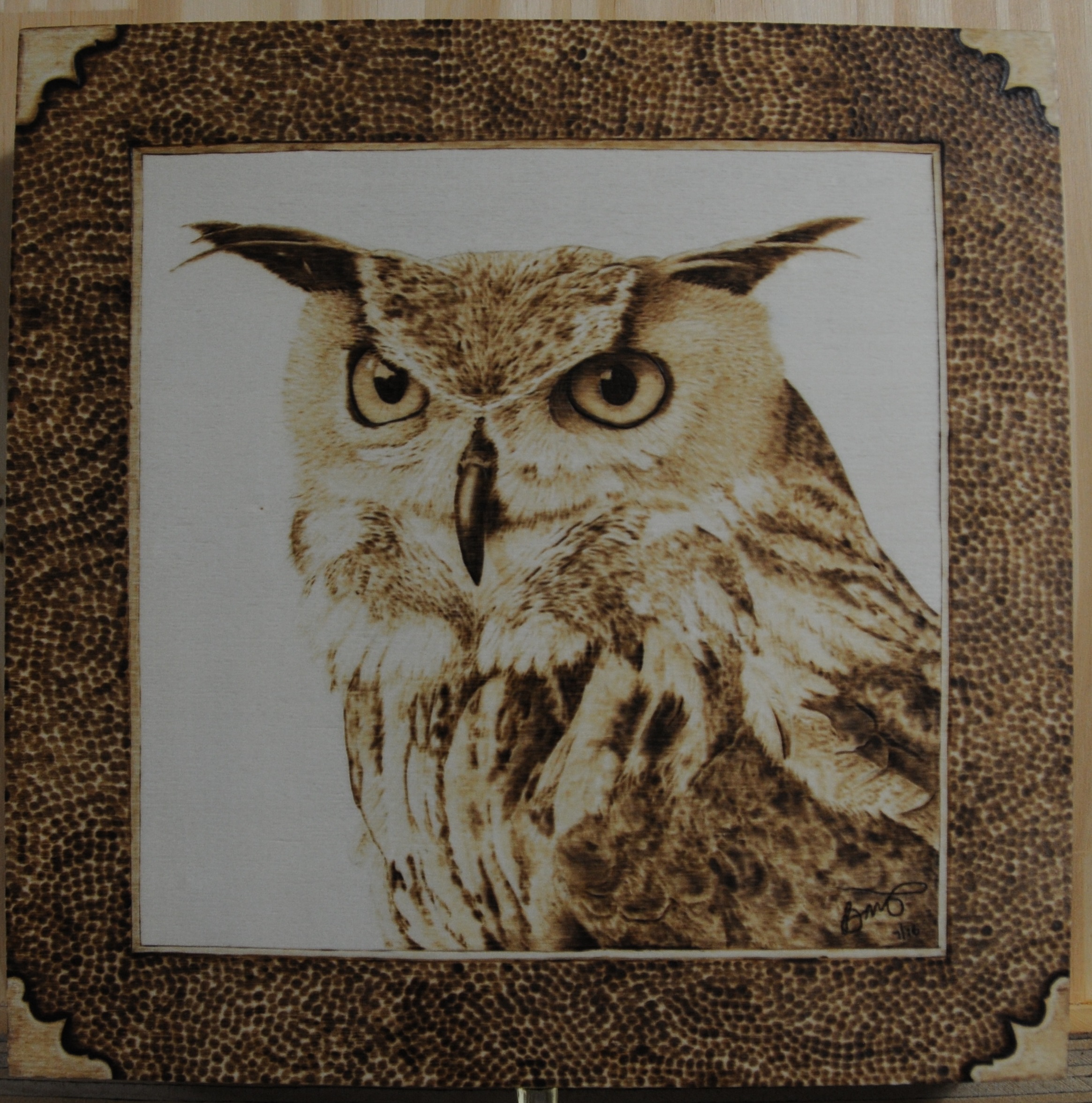 BIRDS – Pyrography Made Easy