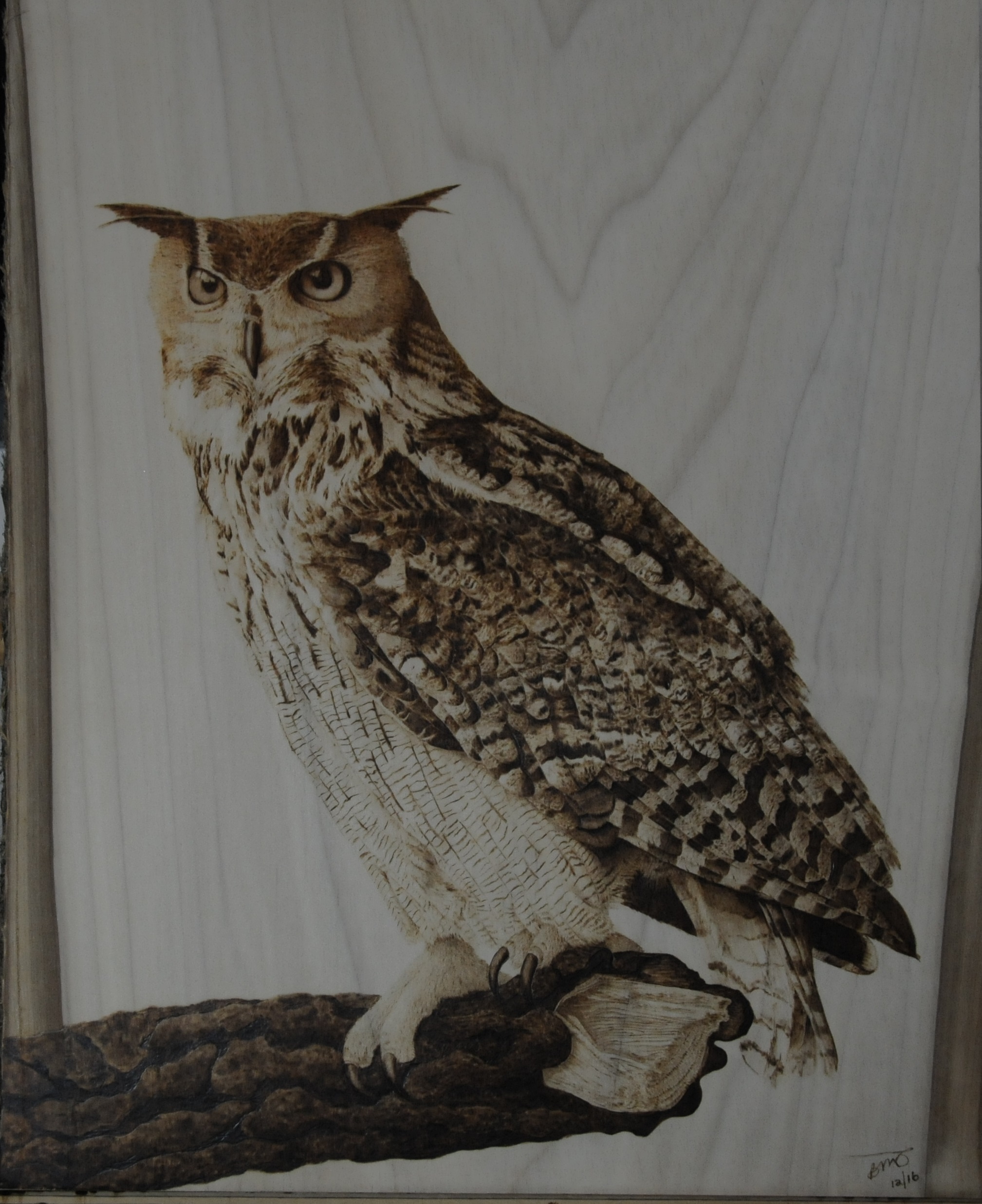 Eagle Owl (12 2016) – Pyrography Made Easy